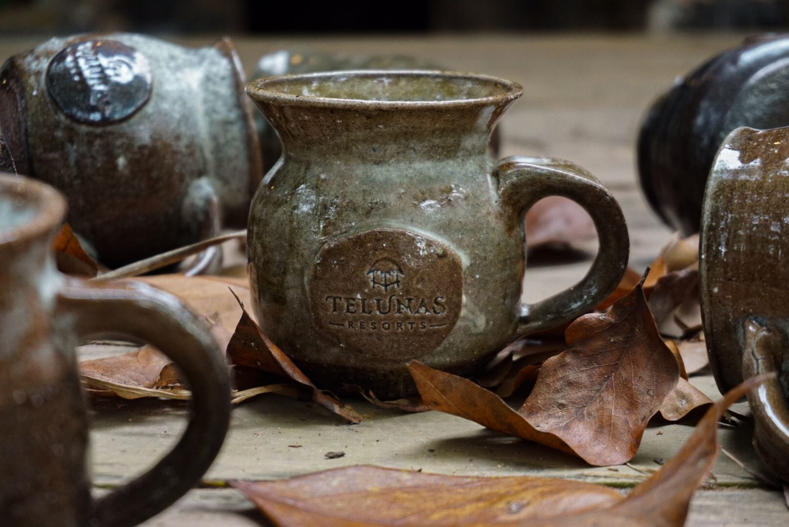 A Pottery Blessing - Private Island and Beach Resort Near Singapore